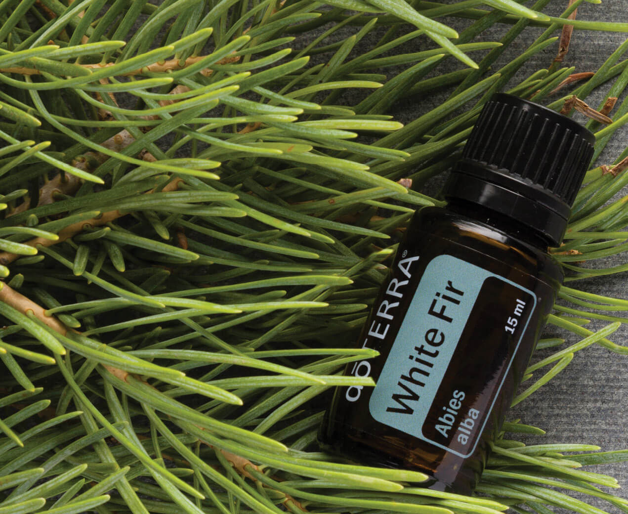 9 Essential Oils to Accompany Meditation and Relaxation at Home - Mommy ...