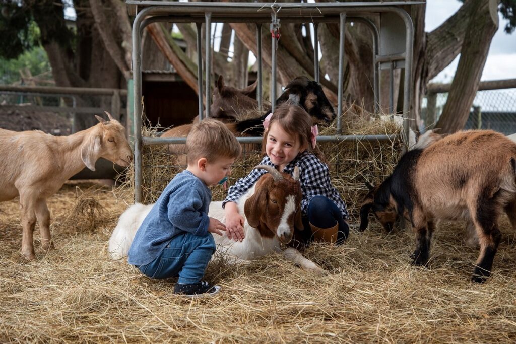 6 Benefits Of Animal Farms For Children's Development - Mommy B Knows Best