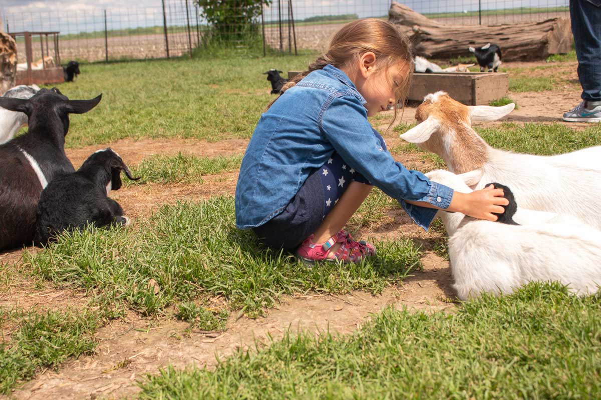 6 Benefits Of Animal Farms For Children's Development - Mommy B Knows Best