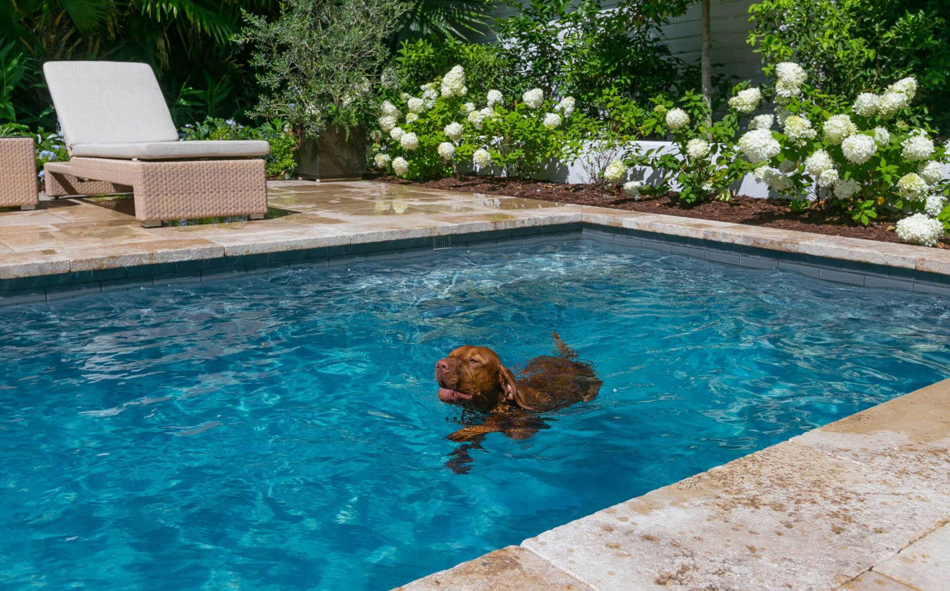 Creating a Kid-Friendly Pool Environment